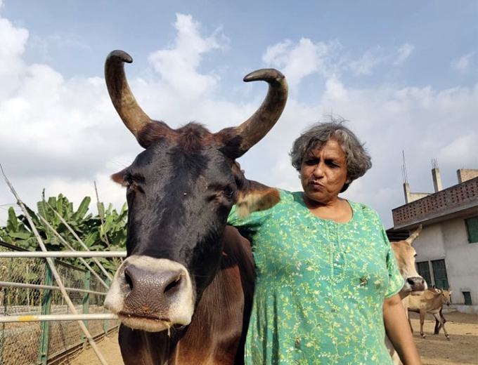 Help Anjali Gopalan Give 700+ Abandoned Animals A Better Life. | DonateKart