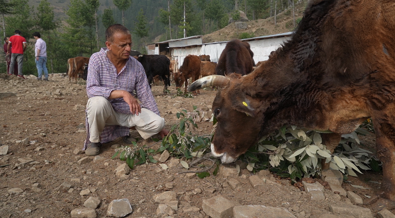 Support This Professor’s Noble Efforts Of Saving Hundreds Of Abandoned ...