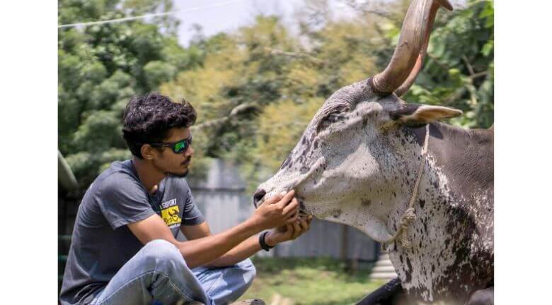 Help for the voiceless animals in need at RESQ | DonateKart