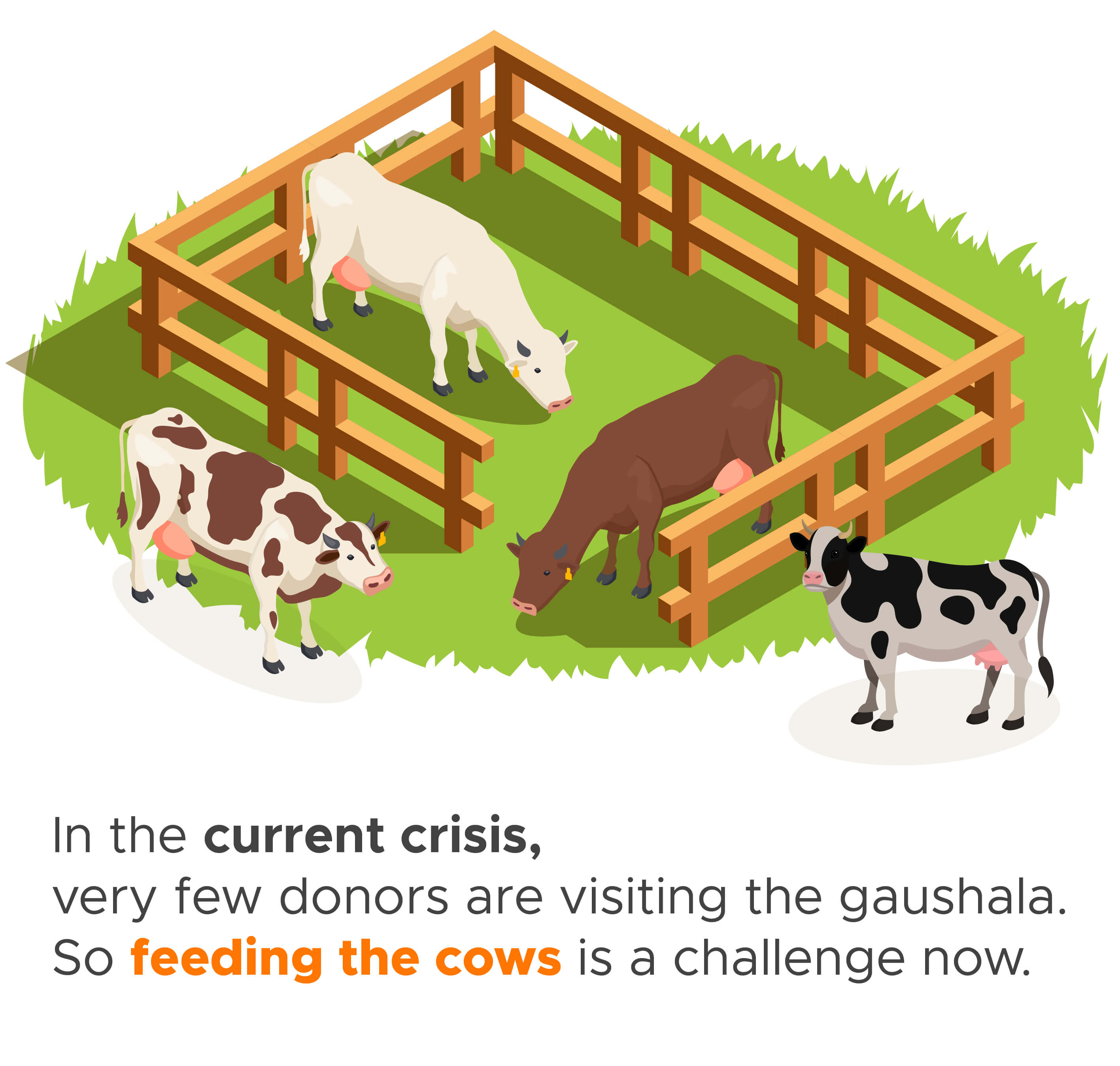 Save Cows By Donating To This Gaushala | DonateKart