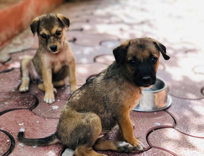 With Your Support, Smita Will Be Able To Afford Food And Medicines For ...