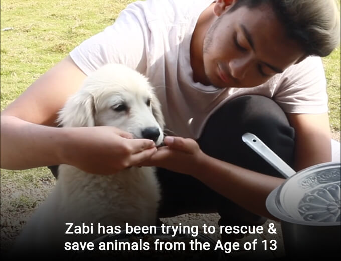 Help put a stop to animal abuse, build a medical centre for animals ...