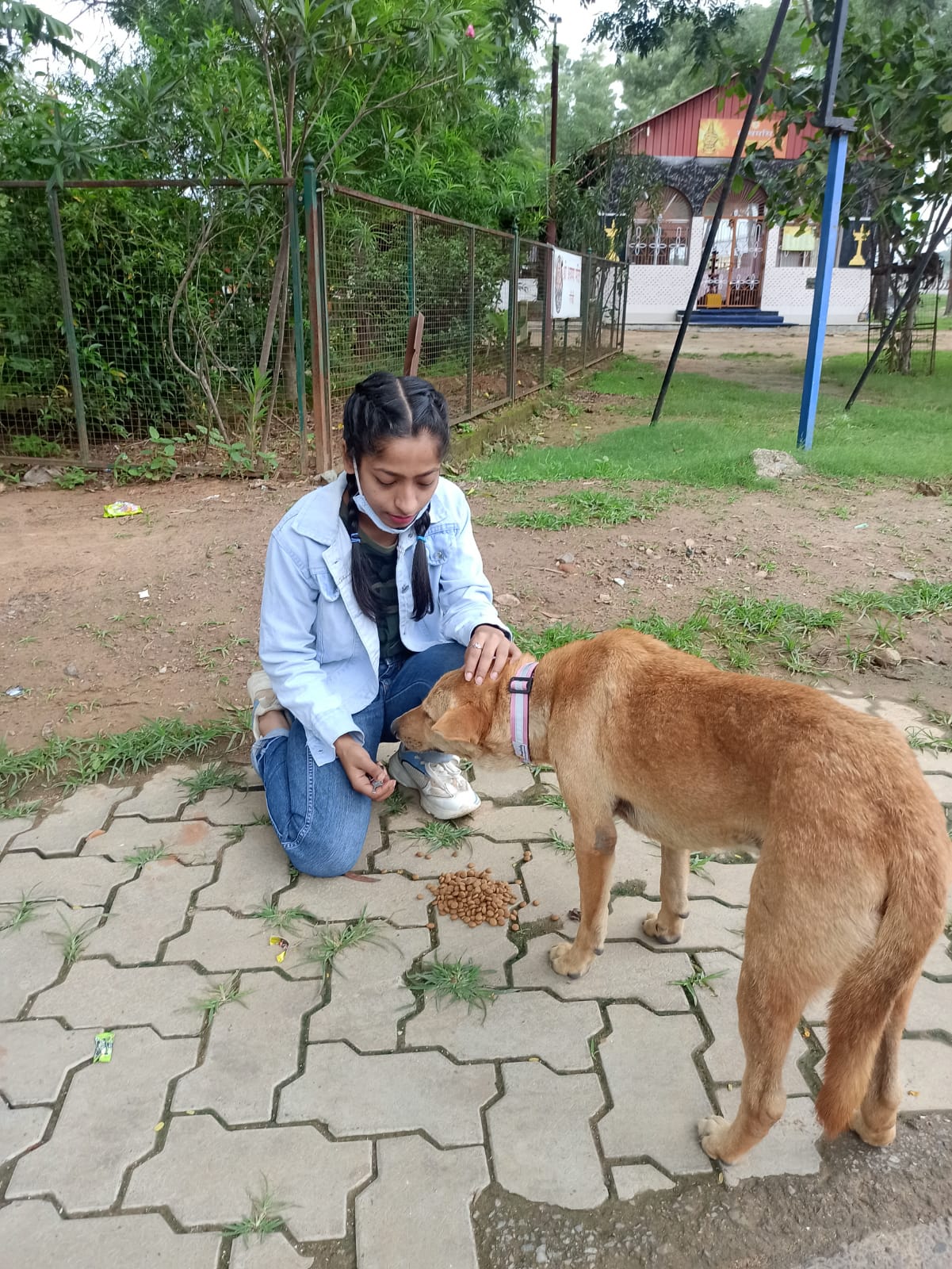 Love Paws Foundation Needs Your Support And Boost To Lift Up The ...