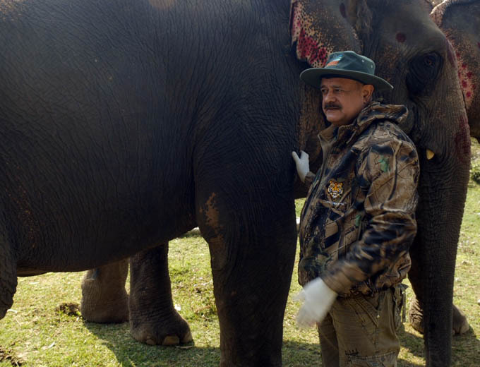 The Elephant Doctor Of India Needs Your Support To Save Hundreds Of ...