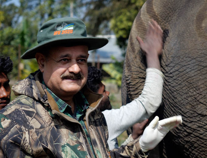 The Elephant Doctor Of India Needs Your Support To Save Hundreds Of ...