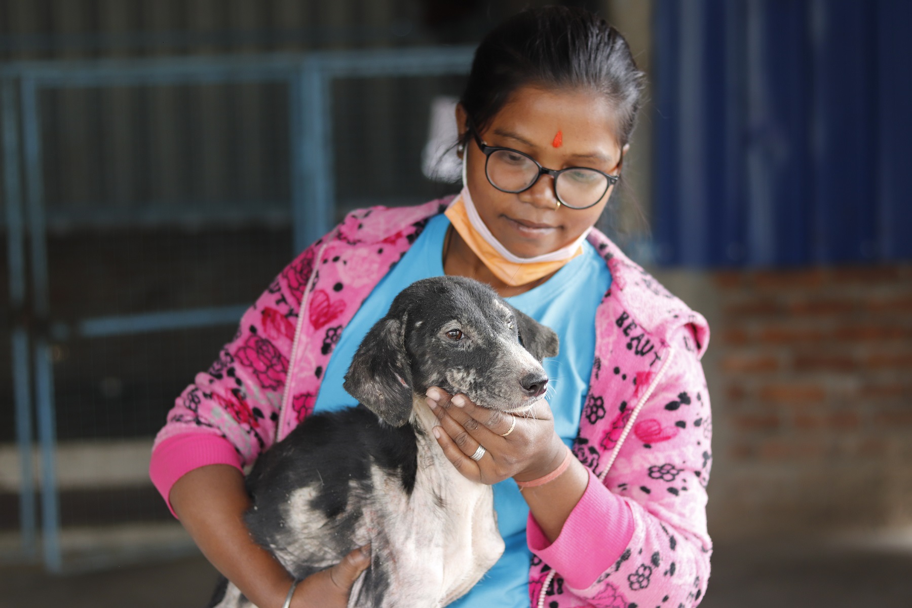 Help Animal Helpline Shelter Feed More Strays | DonateKart