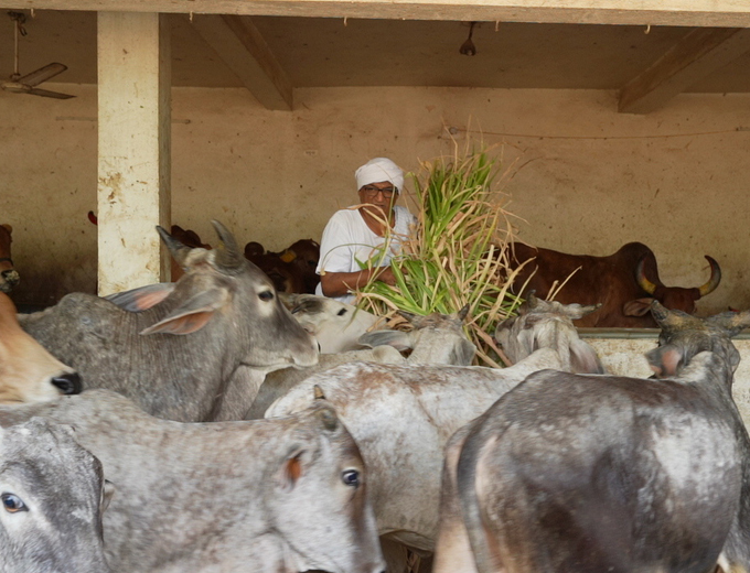 Sudhir Bhai Goyal Is On A Mission To End The Suffering Of Abandoned ...