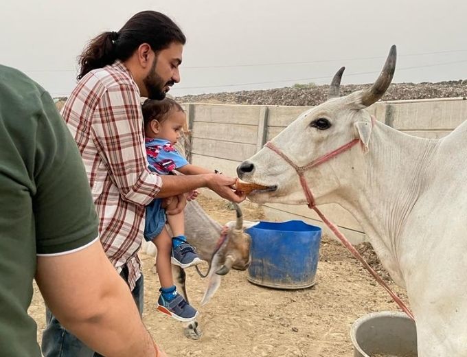 Support Helping Hands For Animals To Feed Abandoned Cows & Give Them A ...