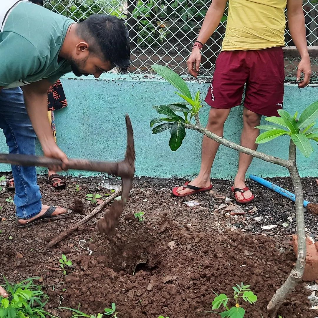 Support Green Human Foundation Plant 1 Million Trees By the Year 2025 ...