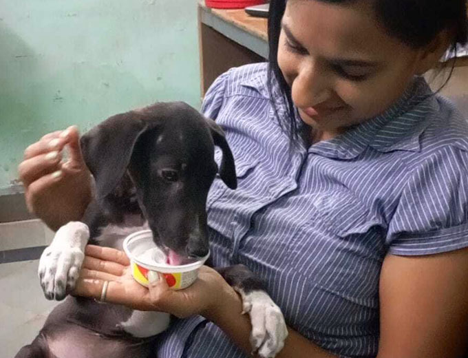 You Can Be The Reason These Voiceless Souls of Kota Have A Happy ...