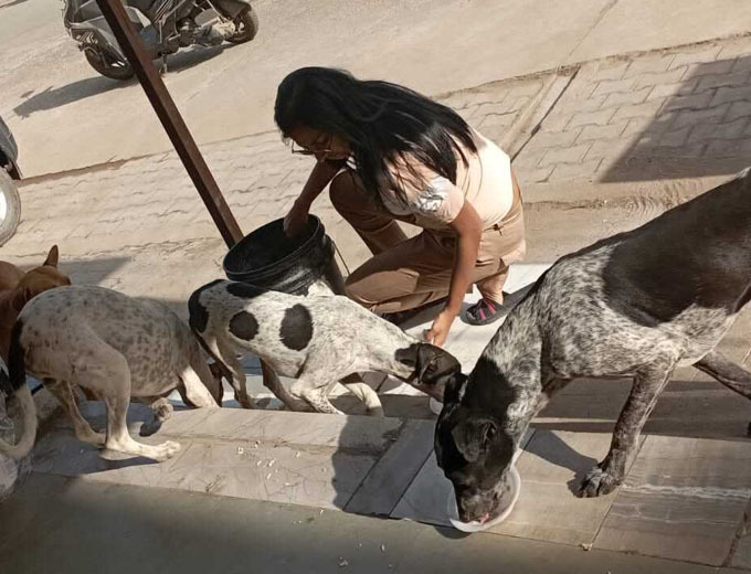 You Can Be The Reason These Voiceless Souls of Kota Have A Happy ...