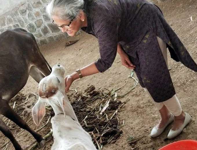 Join Hands With Ahimsa Land Foundation And Help Them Save Hundreds Of ...