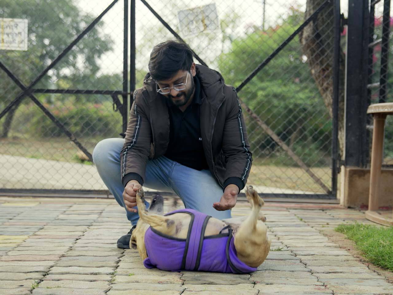Riddhi And Akash Want To Give 600+ Strays In Bhopal A Safe Home, You ...