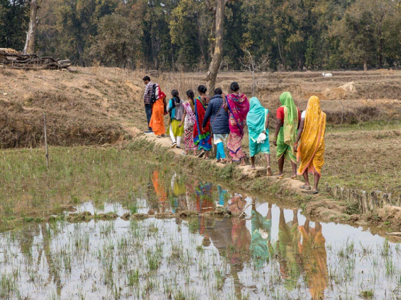 Earthfocus is helping Tribal Farmers of Kanha. Donate Today! | DonateKart