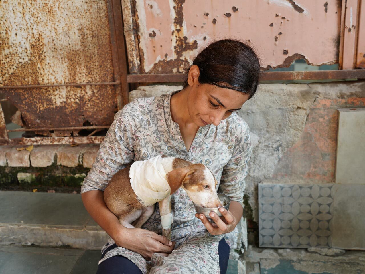 A Sanctuary For Injured Animals, This NGO In Delhi Has Been Fighting ...