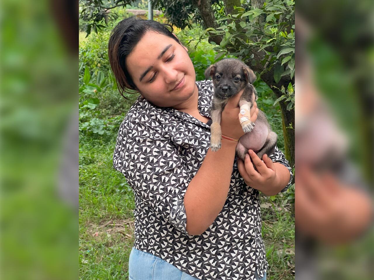 Mugdha Is Saving Countless Animals In Dehradun From A Life Of Pain ...