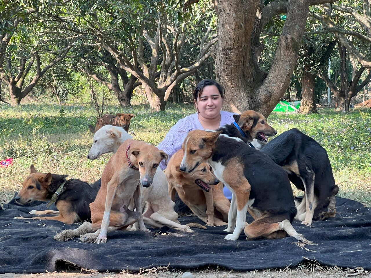 Mugdha Is Saving Countless Animals In Dehradun From A Life Of Pain ...