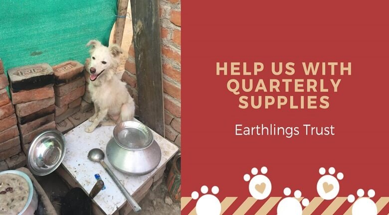 Help fill plates of animals in Earthlings Trust | DonateKart