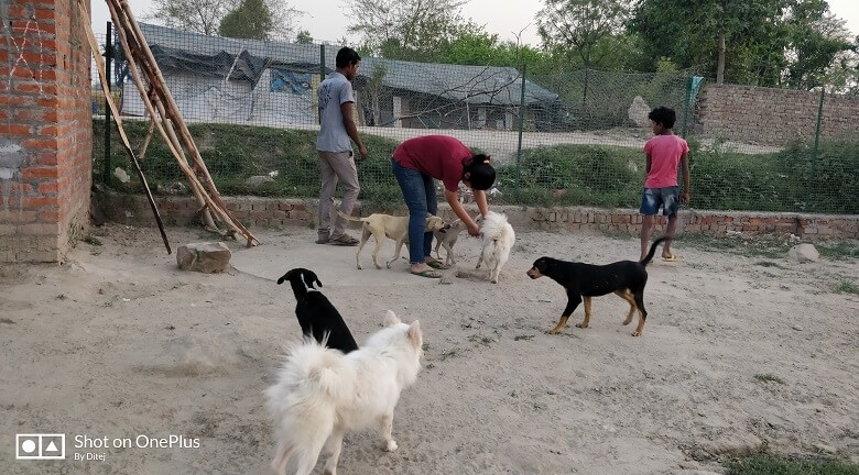 Help some needy animals with their monthly essentials | DonateKart