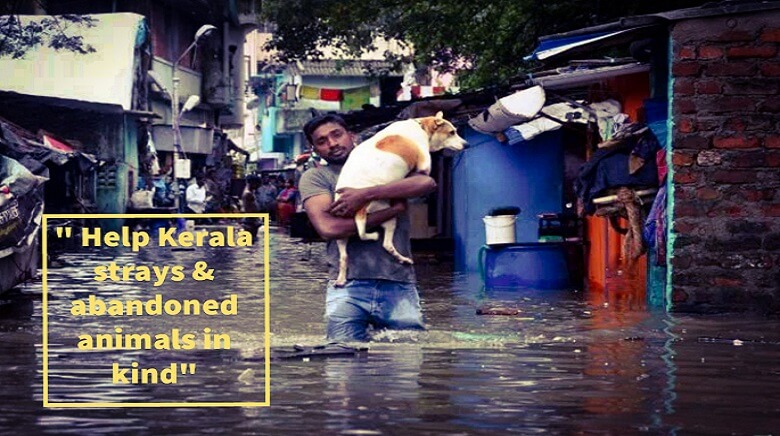 Help AmtmIndia Supply Emergency Veterinary Medicines For Kerala/Coorg ...