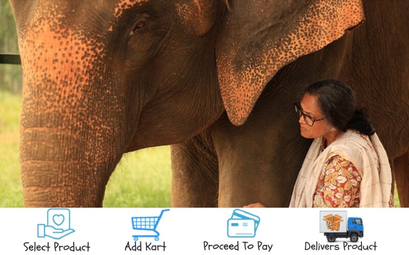 Help And Care For Rescued Elephants | DonateKart