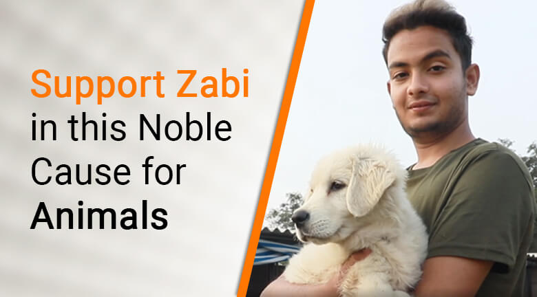 Help put a stop to animal abuse, build a medical centre for animals ...