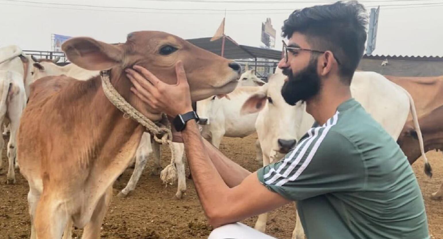 Join Hands With Together We Can & Help Them Feed Fresh Fodder To 70 ...