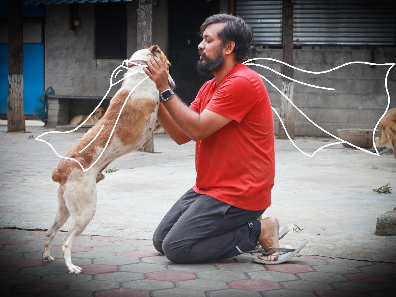 He Left His Job To Rescue Animals, Help Sajesh Take Care of 750+ In ...