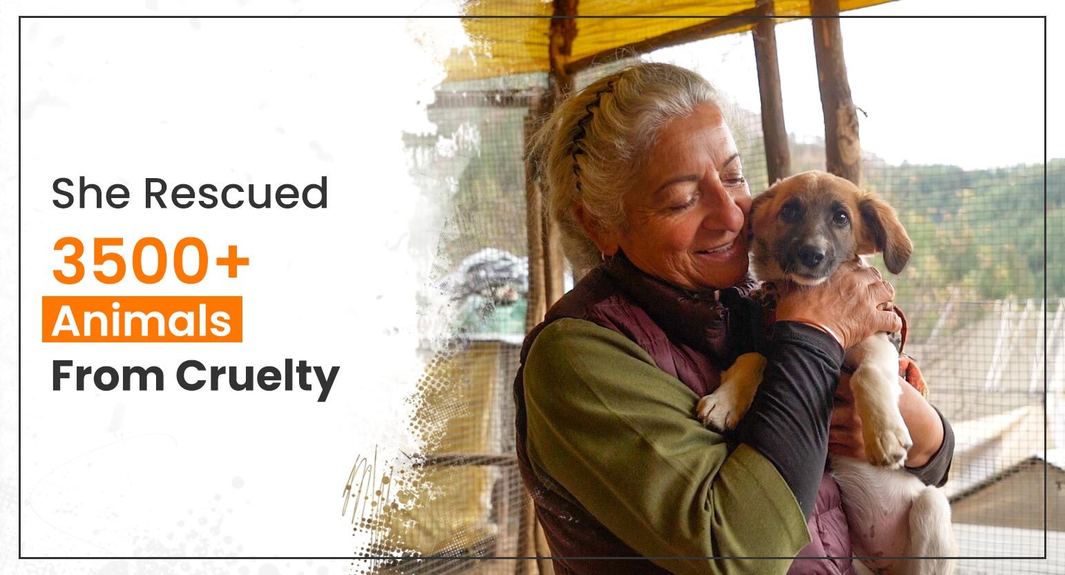 They Burned Her House And Poisoned Her Dogs, Yet She Fights For ...