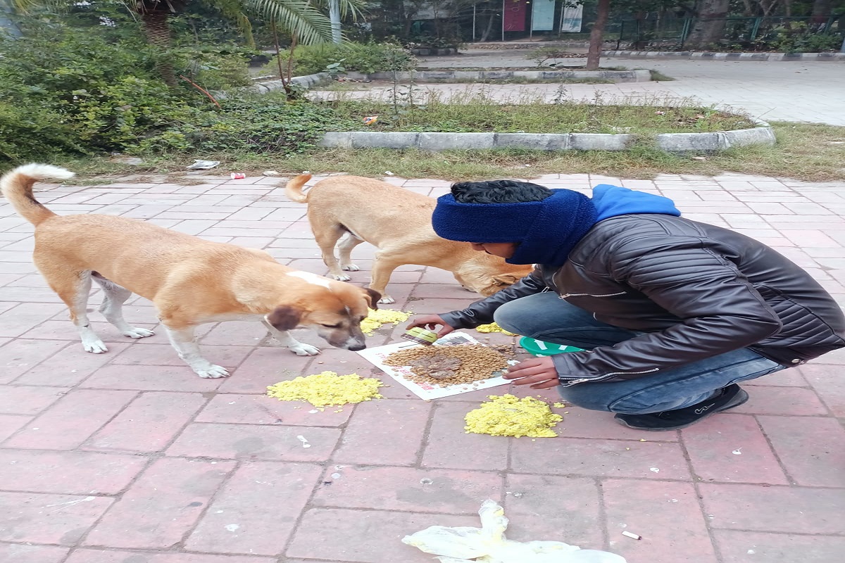 Feed The Dogs - Donate For Dogs And Support EOFO | DonateKart