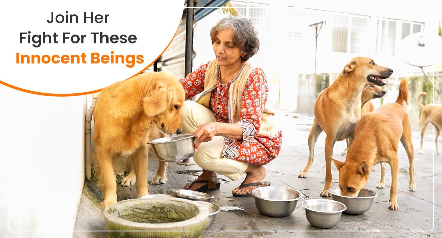 This Loving Mother Of 70+ Animals Needs Your Support To Build Them A ...