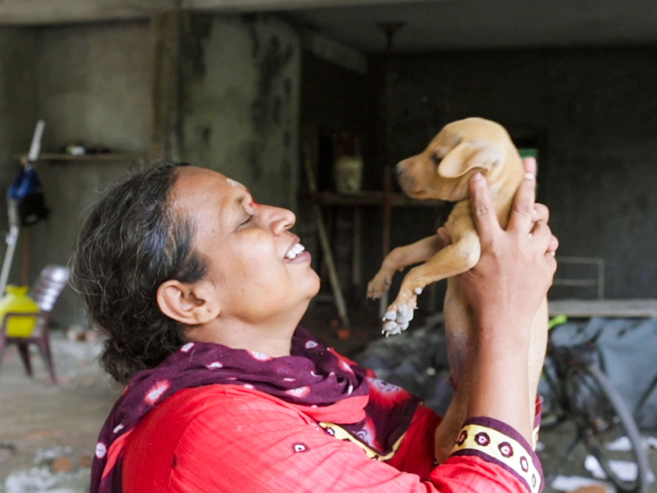 A Guardian Angel Of Injured & Challenged Stray Dogs, Nandhini Needs ...