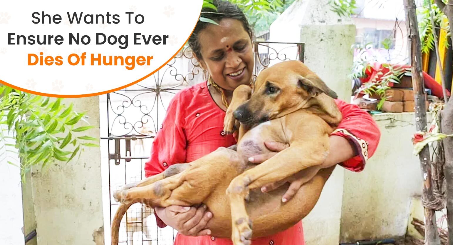 A Guardian Angel Of Injured & Challenged Stray Dogs, Nandhini Needs ...