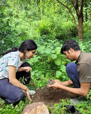 Save Uttarakhand - Plant trees and fight against climatic change | DonateKart