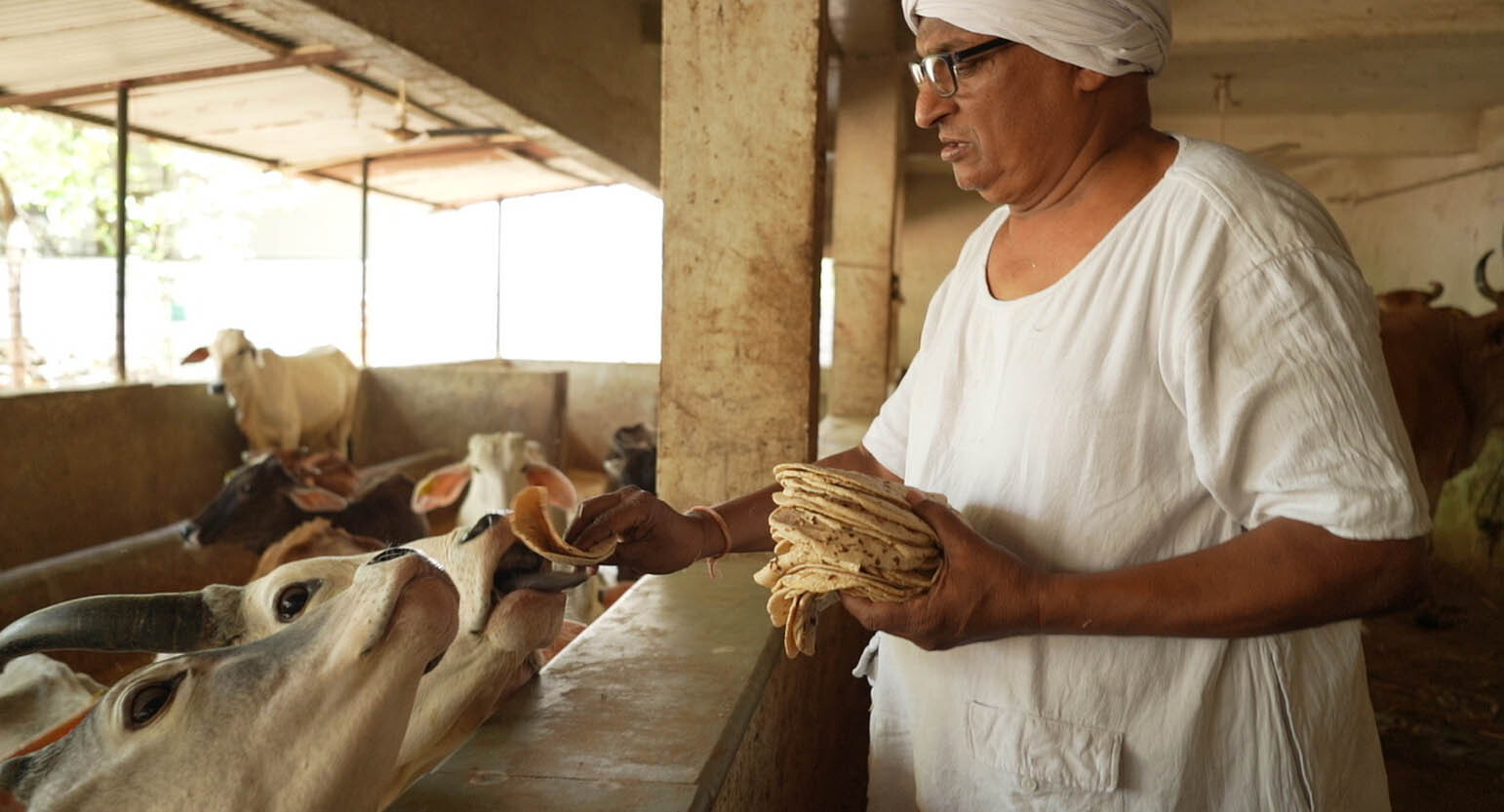 Sudhir Bhai Goyal Is On A Mission To End The Suffering Of Abandoned ...