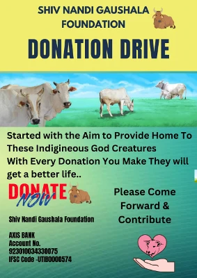 Support Shiv nandi gaushala foundation 's Mission To Save Stray Animals ...