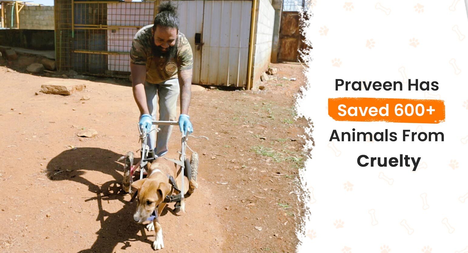 He Sold All That He Owned To Give Injured Strays A Home, Join Praveen ...
