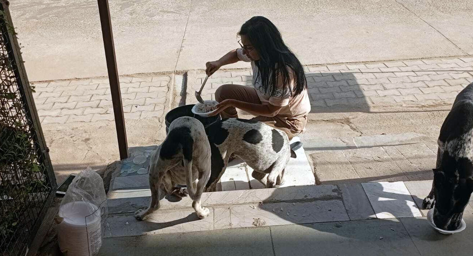 You Can Be The Reason These Voiceless Souls of Kota Have A Happy ...