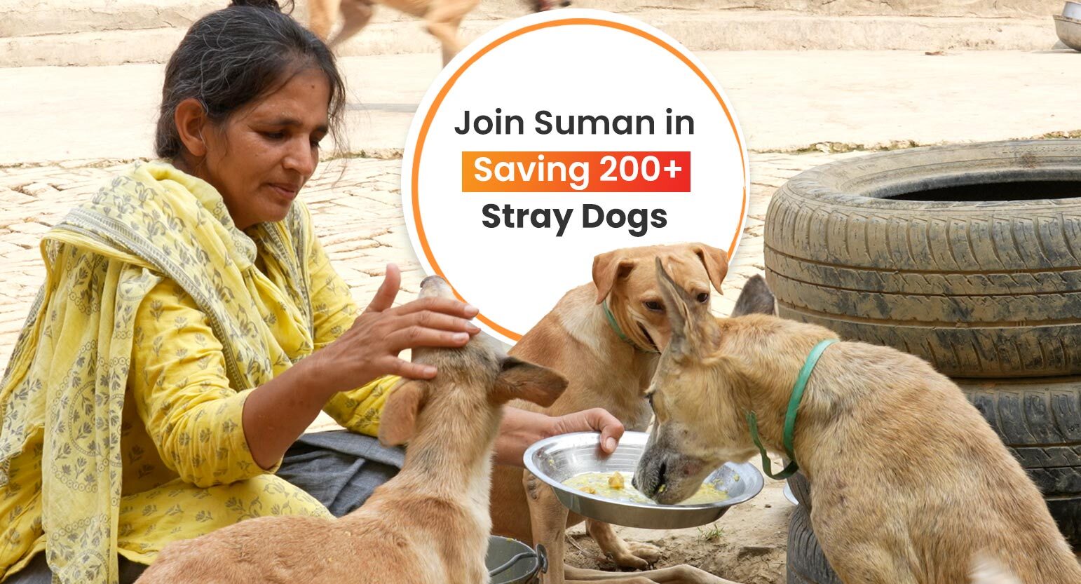 A Loving Mother To 200+ Stray Dogs, Suman Needs Your Help To Give Them ...