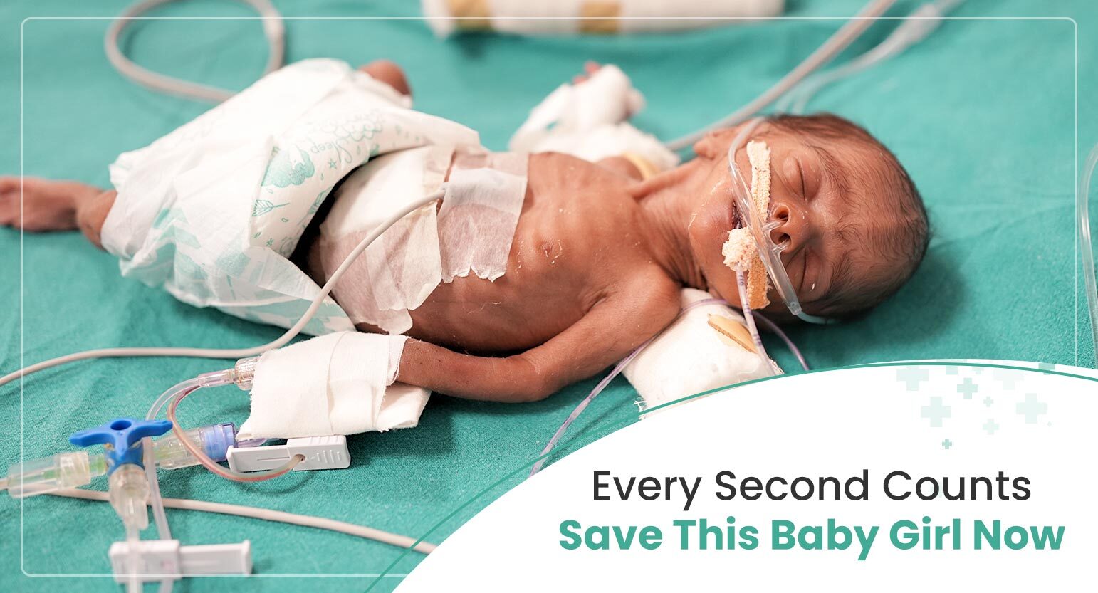 Only A Few Weeks Old And She Is Struggling To Survive, Save This Little ...