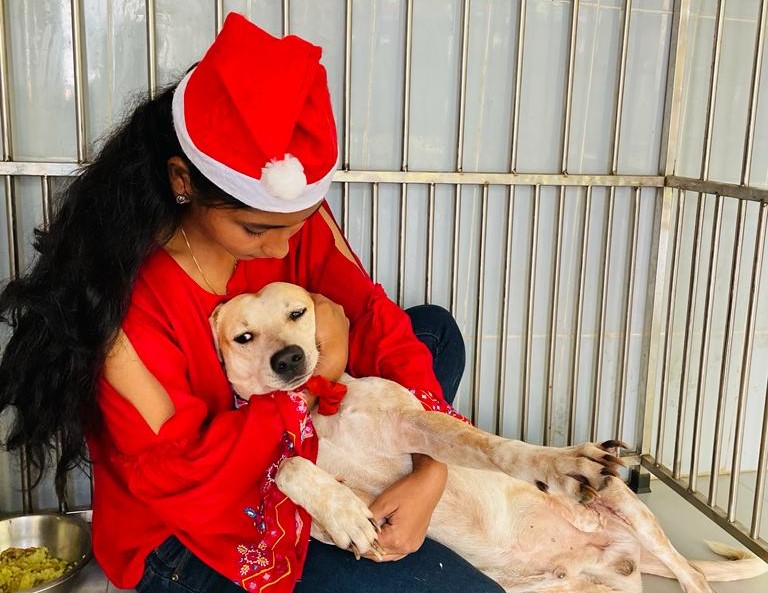 Abandoned & Helpless, Thousands Of Stray Animals Need Your Support To ...