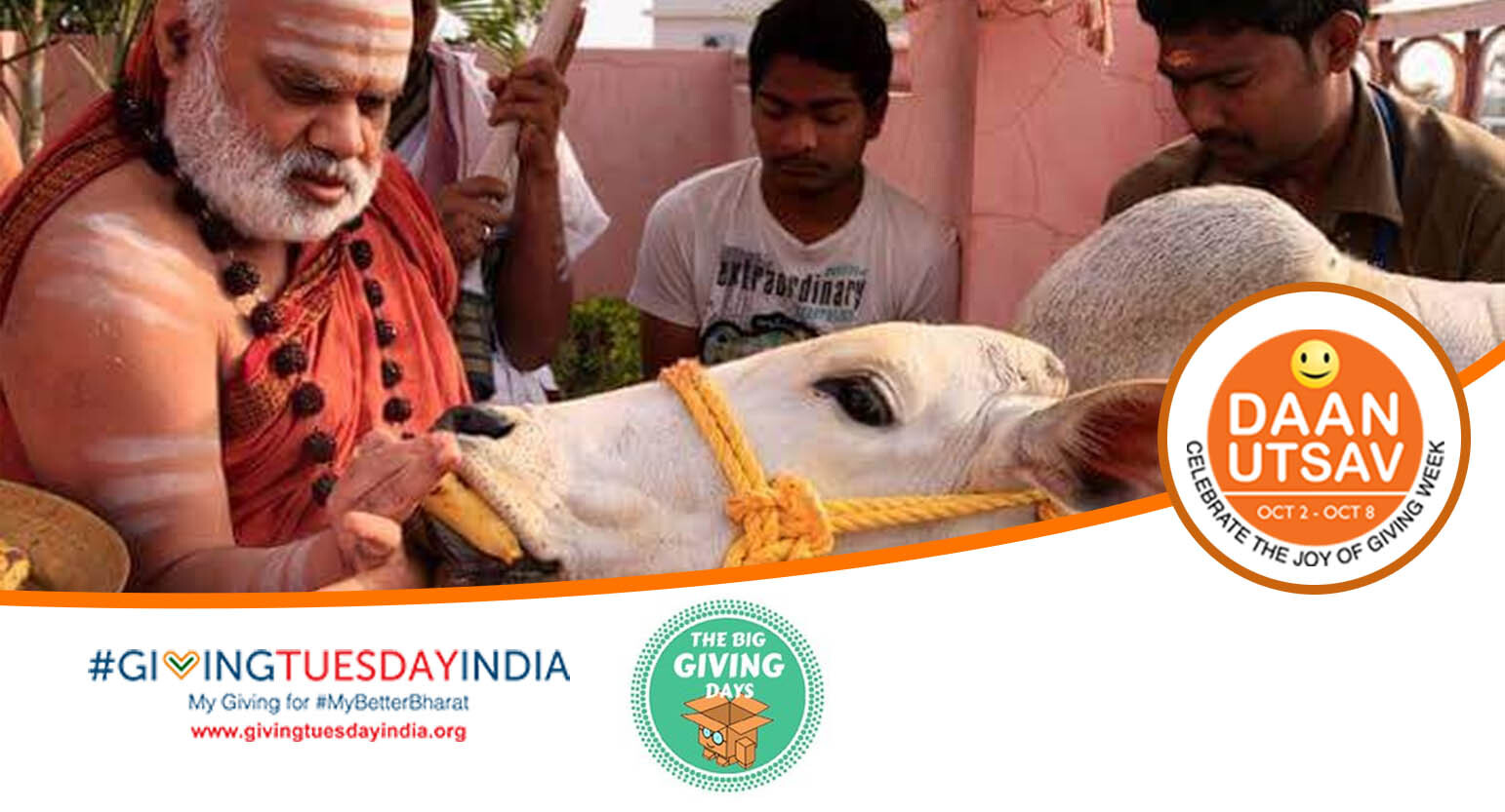 This Daan Utsav Help Cow Old Age Home Feed Fresh Fodder To Rescued Cows ...