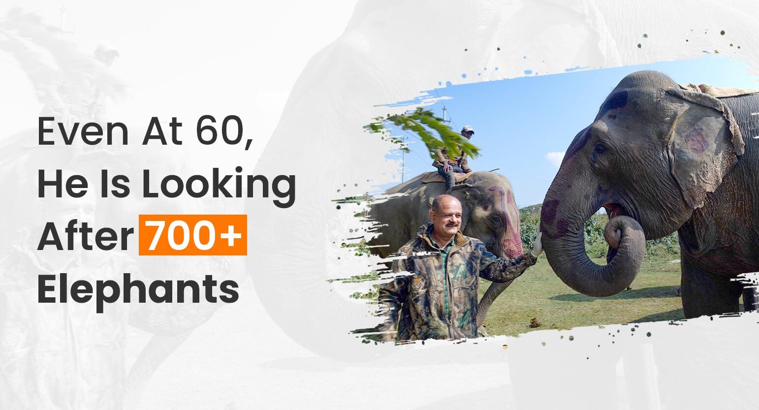 The Elephant Doctor Of India Needs Your Support To Save Hundreds Of ...