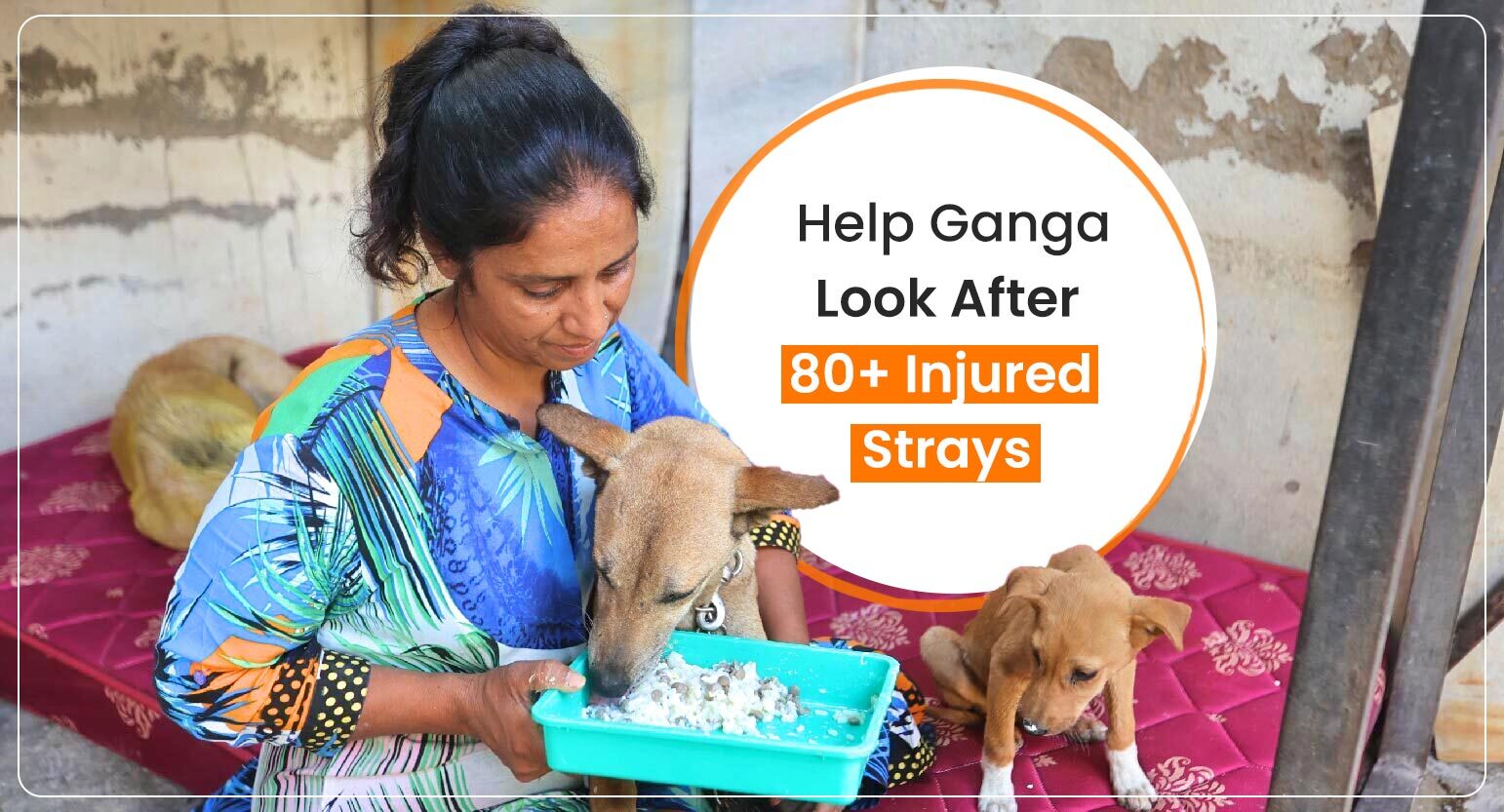 This Single Mother Is Determined To Save Injured And Sick Strays In ...