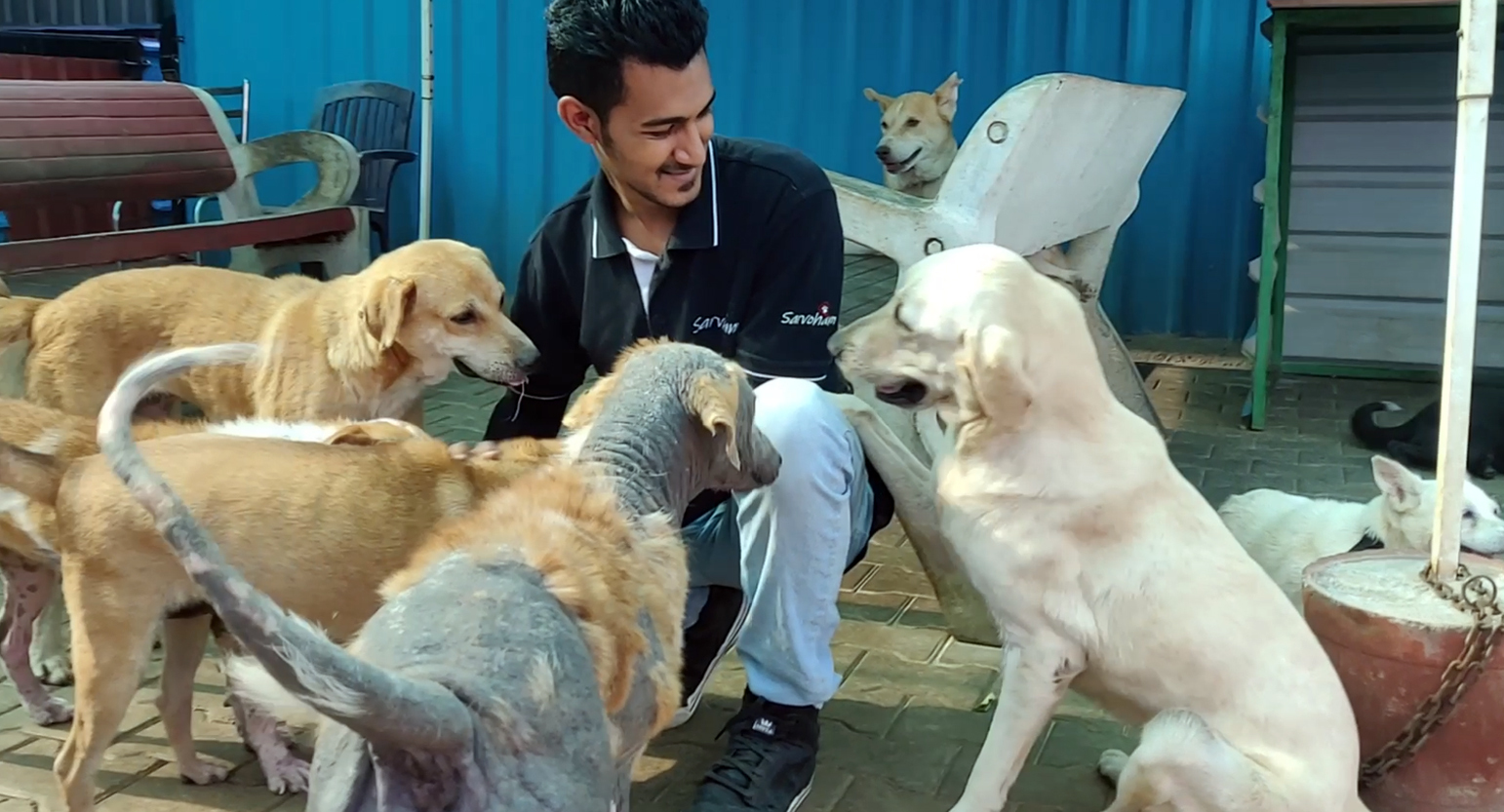 Haris Needs Your Help To Give 200+ Abandoned & Injured Dogs A Healthy ...