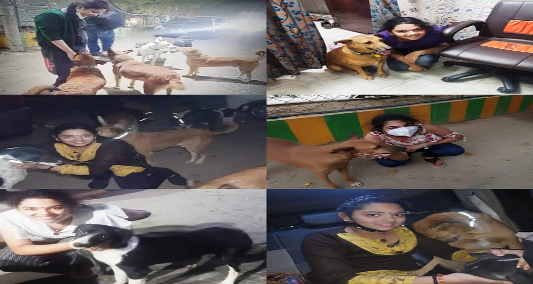 Support Home For Wings And Tails Foundation And Give These Voiceless ...