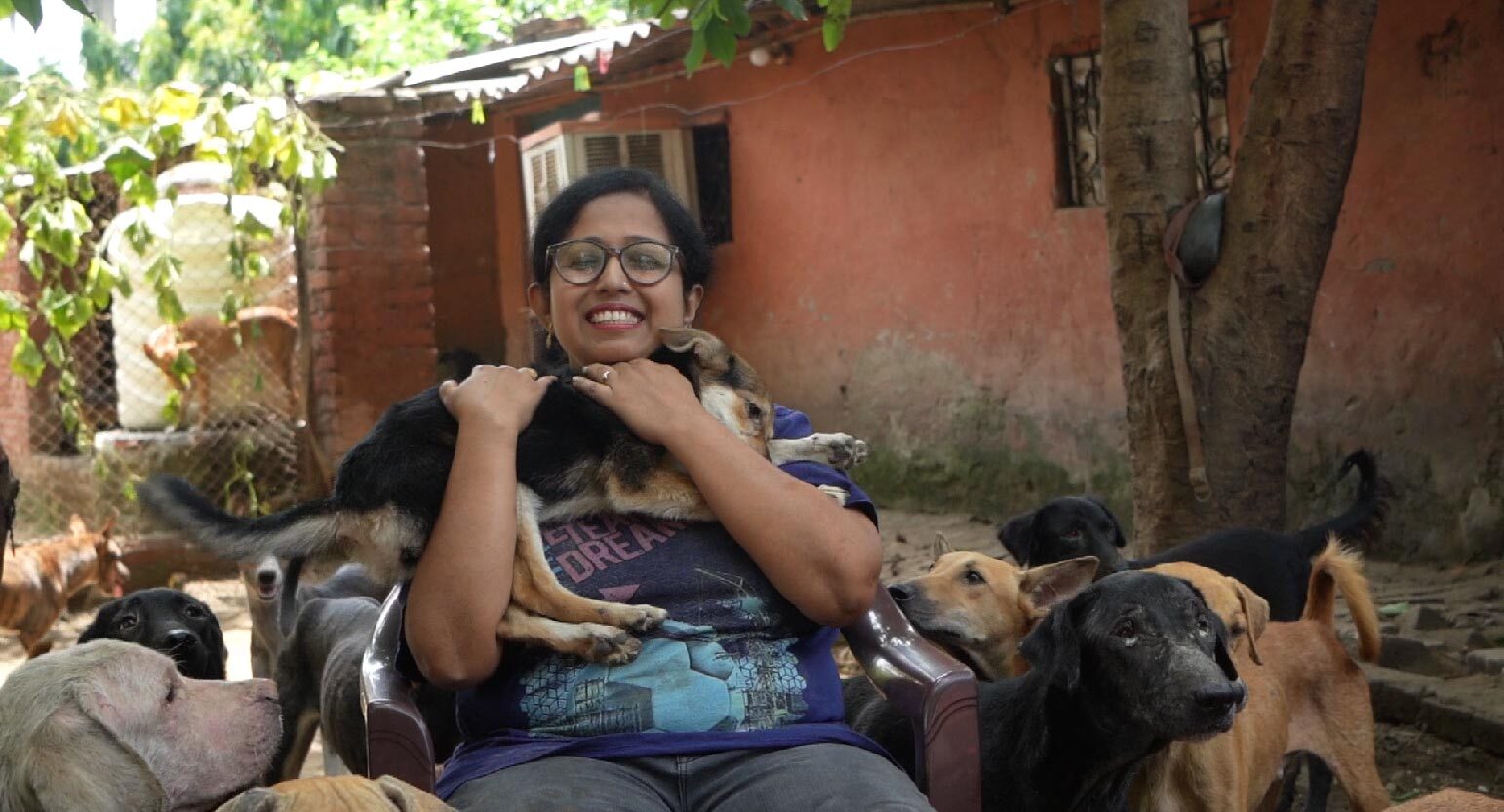 When No One Takes Them In, Dorothy Opens Her Heart To The Sick Strays ...