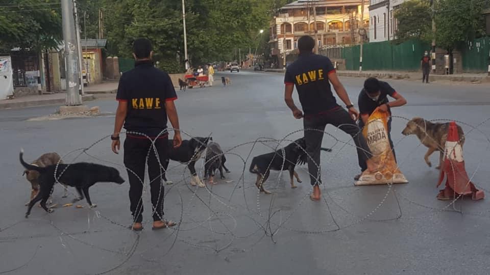 HELP KAWF FEED STRAYS IN KASHMIR | DonateKart