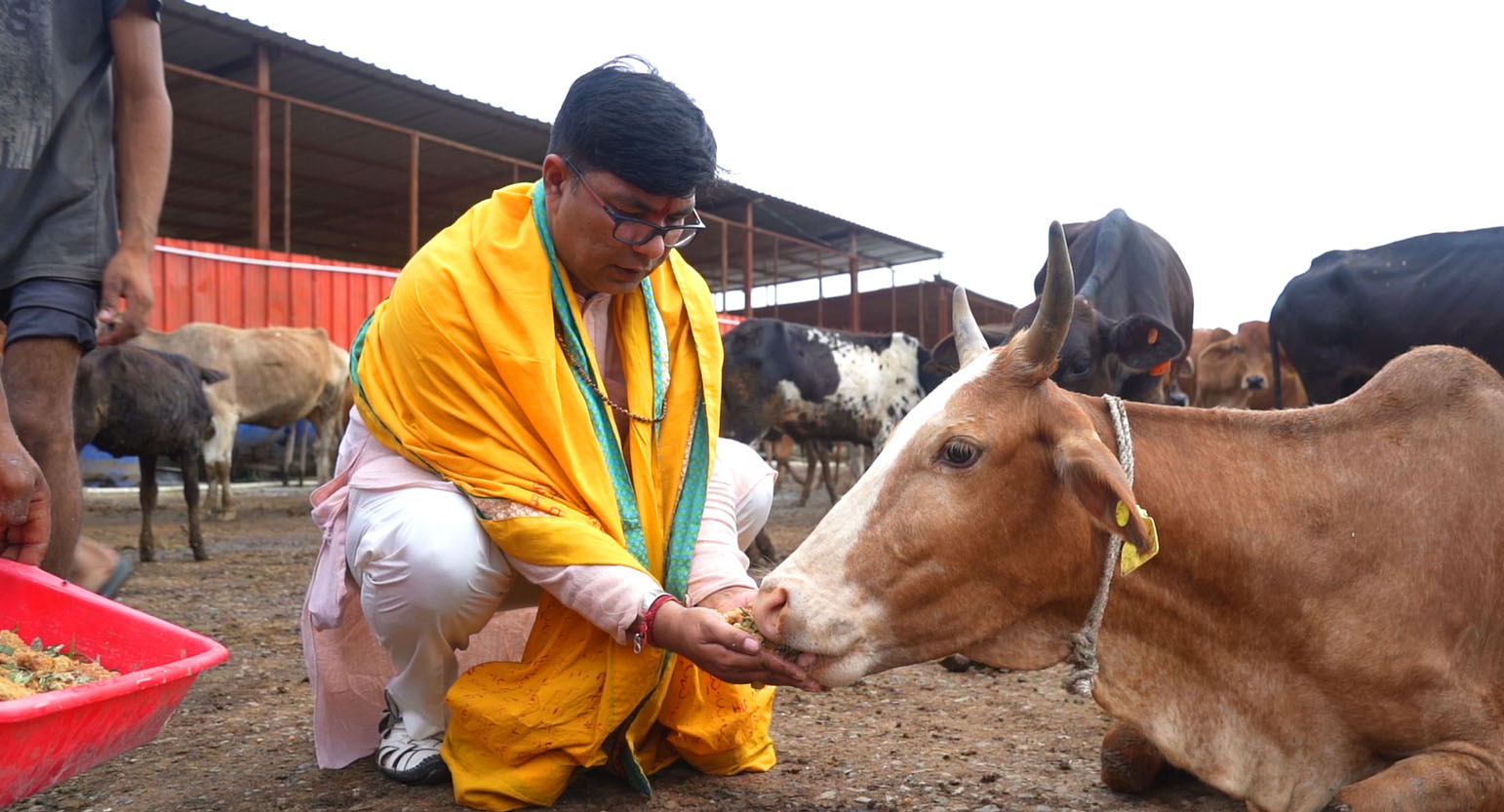 Help Doon Animal Welfare Give 1500+ Abandoned Cows The Love And Respect ...