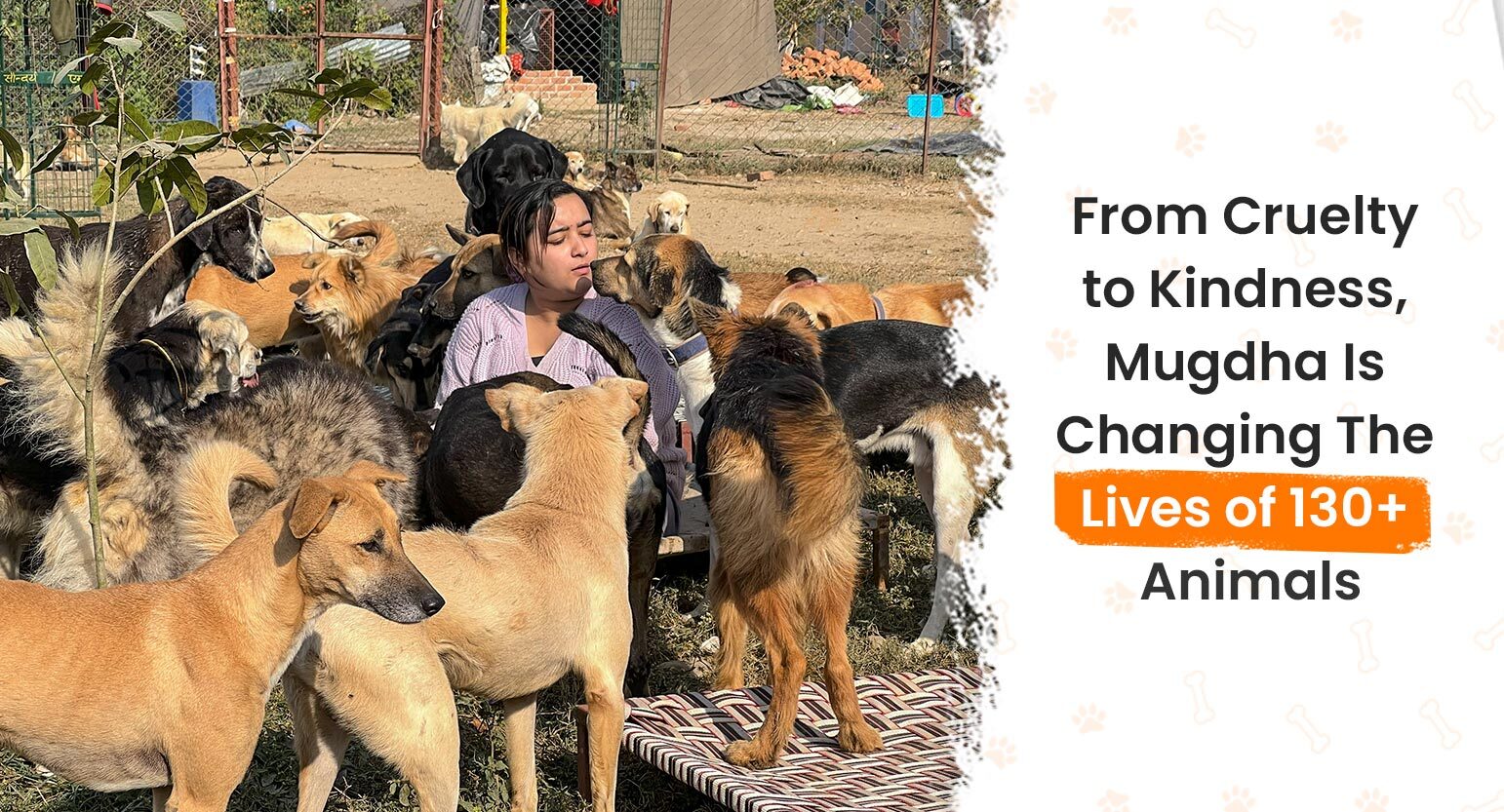 Mugdha Is Saving Countless Animals In Dehradun From A Life Of Pain ...